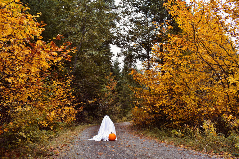 Little Spooky Studio